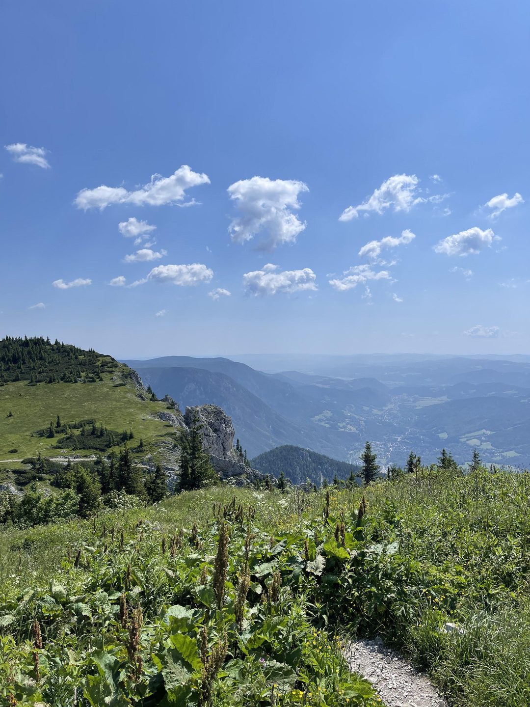 Rax-Seilbahn – Freier Eintritt mit der NÖ-CARD