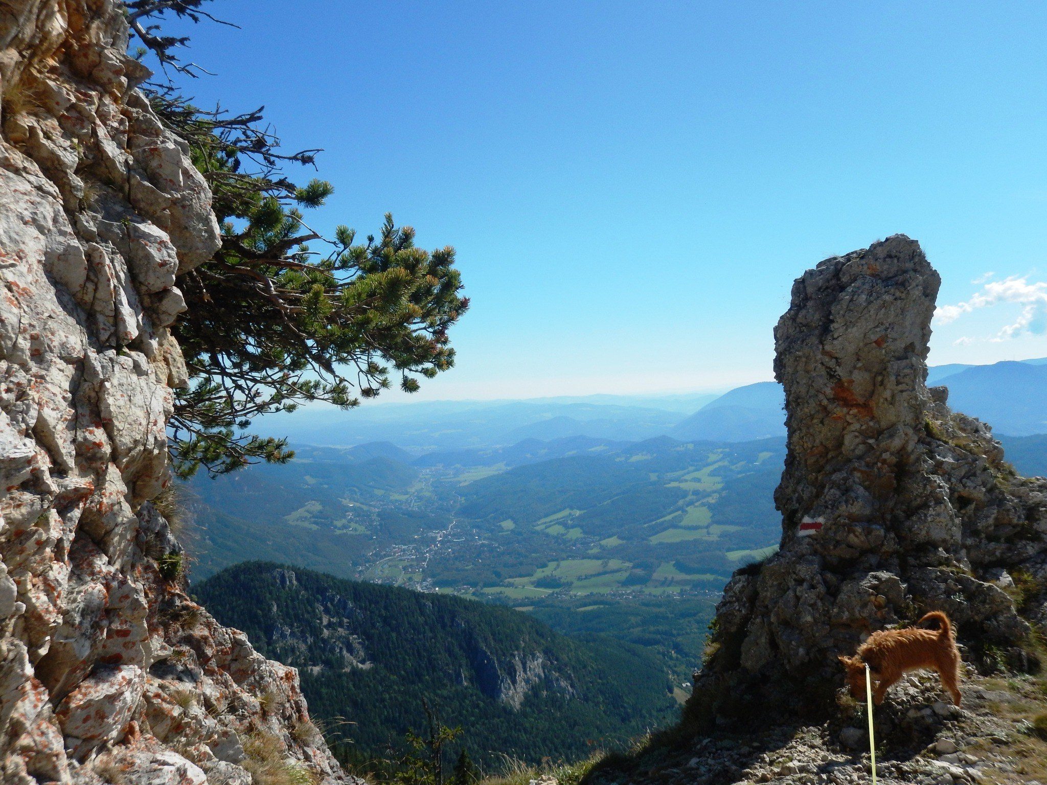 Rax-Seilbahn – Freier Eintritt mit der NÖ-CARD