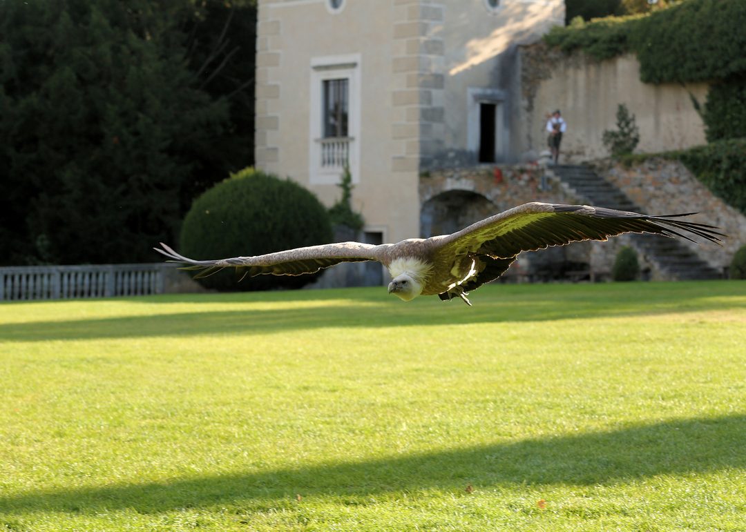 Renaissanceschloss Rosenburg - freier Eintritt mit der CARD