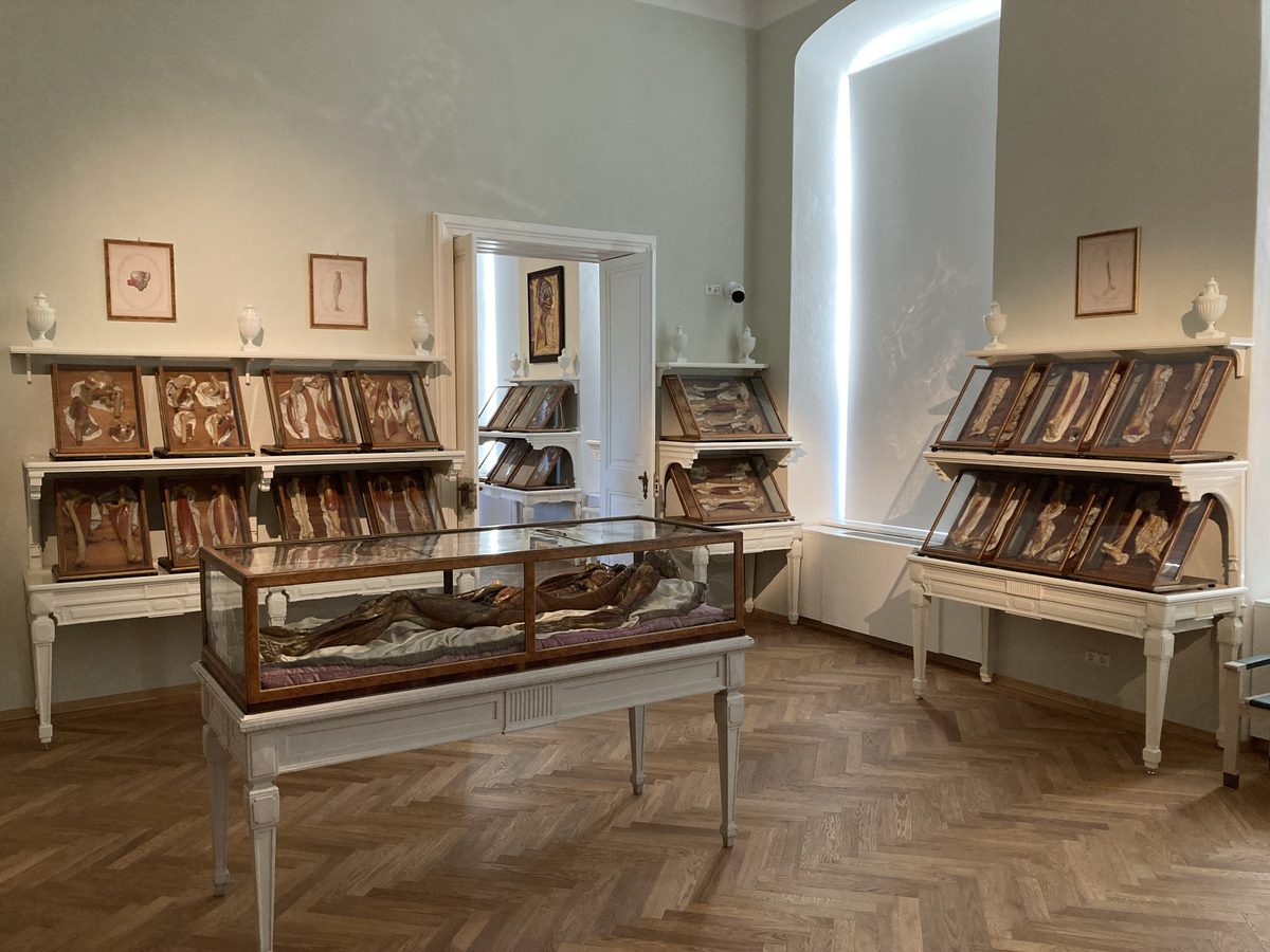 Josephinum - freier Eintritt mit der CARD